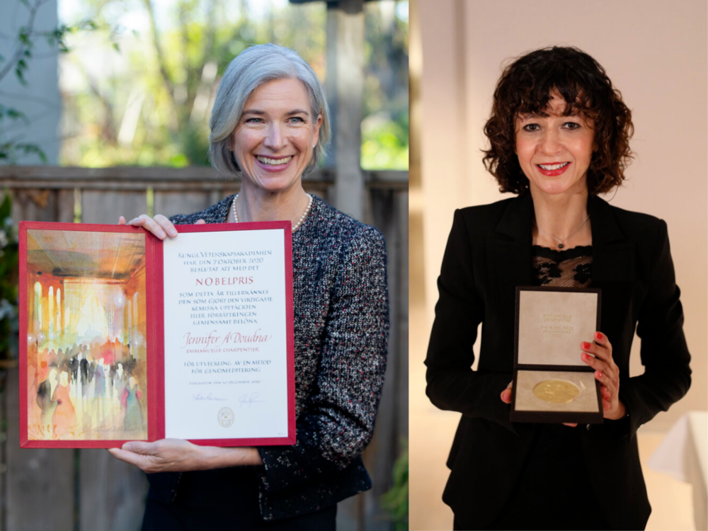 基因魔剪技术Crispr：通过编辑基因从根本上实现抗衰、逆龄